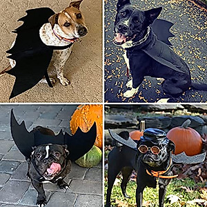 TOLOG Dog Costume Bat Wings for Small Medium Dog & Cat Halloween Pet Costumes Bats Cosplay Cute Puppy Party Dress Up Apparel