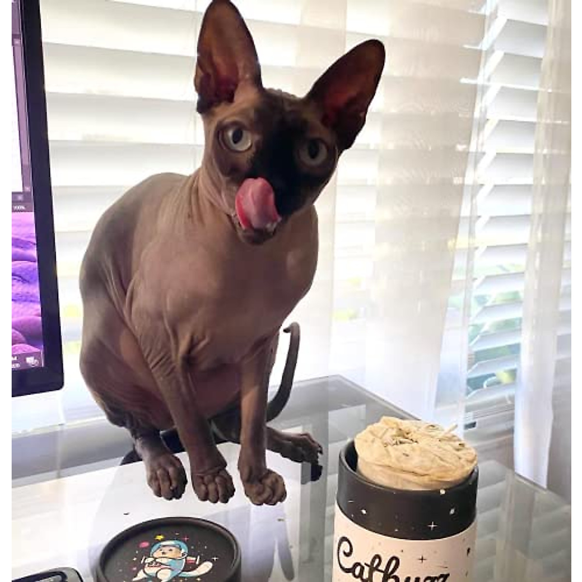 Catbuzz Premium and Organically Grown Catnip, Fresh, Grown by Family Farmers in USA, All-Natural, Eco-Friendly, Sustainable