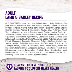 Wellness Complete Health Dry Dog Food, Lamb & Barley, 5 Pound Bag Wet Dog Food, Lamb & Sweet Potato, 12 Cans, 12.5 Ounce Can