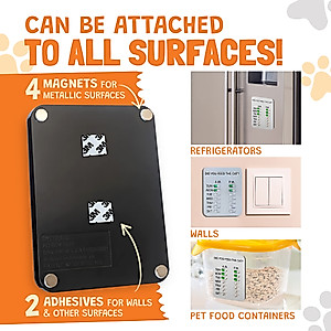 Did You Feed The Cat?