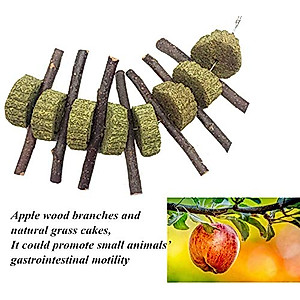 Fansisco Bunny Chew Toys for Teeth Grinding,Molar Rabbit Toys Organic Apple Chewing Sticks,Chew Treats and Balls for Hamster,Rabbit, Bunny, Chinchilla, Guinea Pig, Small Animal