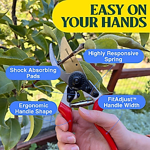 EnduroPRO Titanium Pruning Shears - Best Garden Shears, Tree Trimmer, Hand Pruner-Ideal Branch, Hedge, Shrub & Bush Clippers-Razor Sharp Bypass Secateurs Ergonomic Gardening Tool for Effortless Cuts