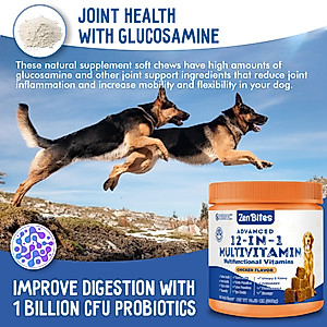 ZenBites 12-in-1 Dog Vitamins & Probiotics 120 Soft Chews - Organic Multivitamin with Glucosamine for Dogs - Joint Support Supplement for Dogs of All Ages,Sizes, & Breeds,Supports Skin,Heart,Immunity
