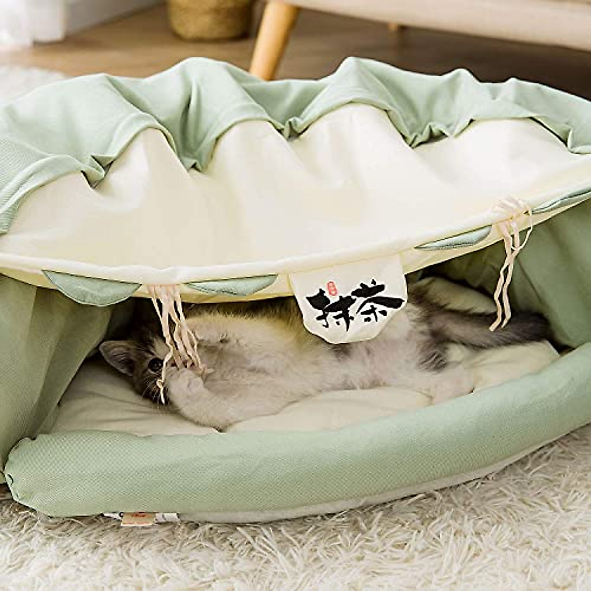 HIPIPET Cat Tunnel for Indoor Cats, Cat Tube with Collapsible Washable Cat Bed,Premium Cat Toy for Small Medium Large Cat.(Matcha)