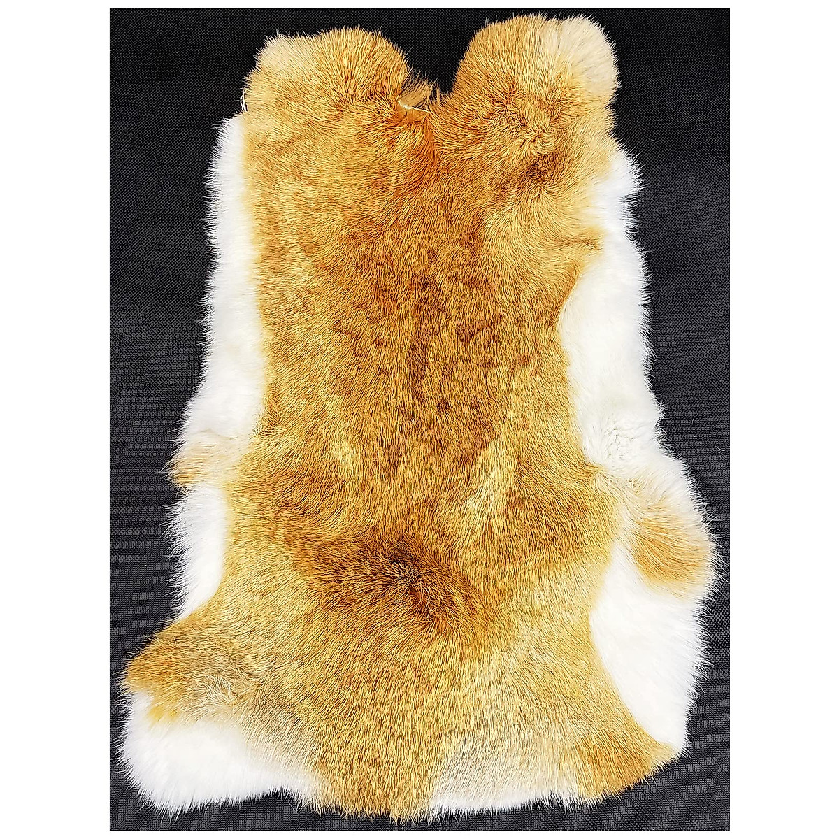 Forssils Natural Rabbit Fur Pelt(10" by 15") Rabbit Hide Sewing Quality Hide Leather -Soft Professionally Tanned (Golden,1Pcs)
