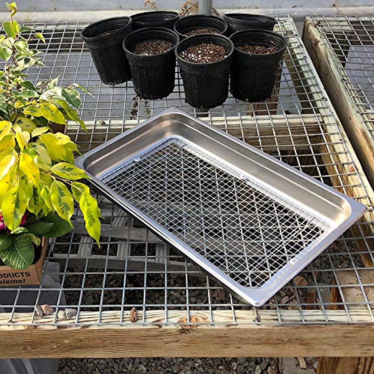 Raw Rutes - Stainless Garden Sifter for Compost, Dirt and Potting Soil - Welded Wire Mesh (Hand Held Garden Sifter) 13"x21"