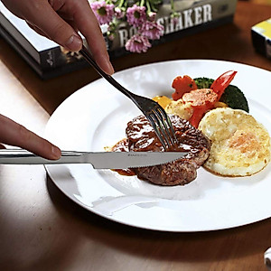 Idotry 6-Piece Stainless Steel Steak Knives, Kitchen Dinner Knives