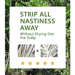 Aromase 5α Intensive Oily Hair Solution Kit (5α Juniper Scalp Purifying Liquid Shampoo 2.8 Fl Oz + 5α Intensive Oily Hair Balancing Essential Shampoo 14 Fl. Oz) for Oily Scalp, Oil Smells