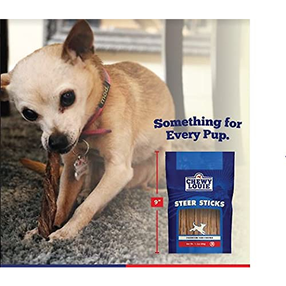 CHEWY LOUIE 5" Steer Sticks - 100% Beef Treat, No Artificial Preservatives, Colors, or Flavors. Tough, Long-Lasting, and Dental Support Dog Treats.
