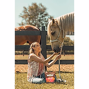 Adirondack Apples & Oats Premium Horse Treats [Oven Baked, Heart Shaped Horse Treats with Apples and Oats], 1.5 lb. Pouch