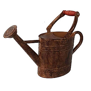 SHWQ 3.5L Watering Can Decor Patio Decor Watering can Spray Watering can Watering can for Indoor Plants Plant Watering can Garden Decorations Small Watering can Indoor Garden Indoor Watering can