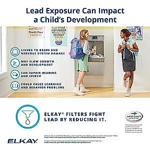 Elkay 51299c WaterSentry VII Replacement Filter (Coolers + Fountains), white, 1-Single