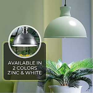 Bio Green 500-USW Florabooster LUM 500 Grow Indoor 60w Lightbulb Lamp with 3m Connection Cable – Energy Saving House Plants – High Light Intensity, White