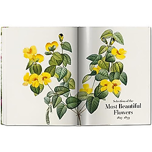 Redouté: The Book of Flowers / Das Buch de Blumen / Le livre des fleurs