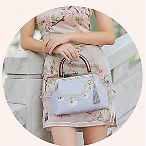 ZLXDP Traditional Embroidered Mouth Gold Bag Chinese Tassel Handbag Women's Cheongsam Bag Dinner Handbag (Color : E, Size : 26x17x8cm(LxHxW))