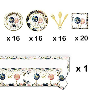 HEETON Blush Navy Gender Reveal Party Supplies Blue and Pink Girl or Boy Gender Reveal Baby Shower Balloons Party Baby Shower Decorations for Girl Boy Gender Reveal