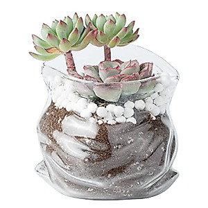 8 Ounce Glass Zipper Bag, 1 Small Glass Bag - Realistic Crinkled Edges, Serve Candy, Popcorn, or Nuts, Clear Glass Bag Bowl, Dishwashable, Flat Base - Restaurantware.