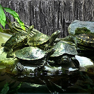 Ipetboom Background Rock 3D Aquarium Background Aquarium Background Board Snake Habitat Decoration Fish Tank Decorations Aquarium Backgrounds Fish Tank Background Terrarium Background