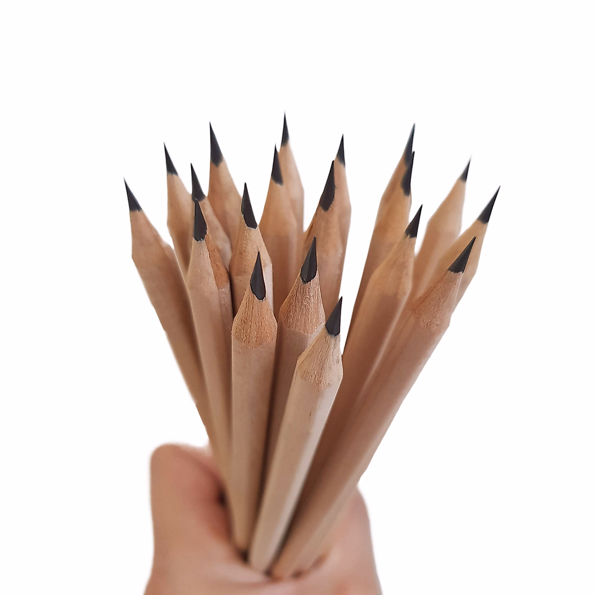 Pre-sharpened Raw Natural Wood Pencils 72 PCs in Box : TiT