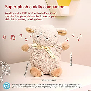Cloud b Travel Soothing Sound Machine | Cuddly Stuffed Animal | 4 White Noise | Auto-Shutoff | Travel Sleep Sheep on the Go