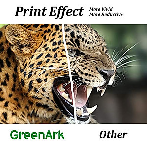 GREENARK Compatible Ink Cartridge Replacement for Brother LC3017BK High Yield Black Work for Brother MFC-J6930DW MFC-J5330DW MFC-J6530DW MFC-J6730DW Printers, 4 Pack LC3017XL Black Ink Cartridges