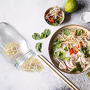 C CRYSTAL LEMON Sprouting Jar Kit – Sprouts Growing Kit with 32oz Glass Sprouting Jars with Screen Lids, Jar Stands, Drip Tray – Indoor Grow Kit for Alfalfa, Beans, Broccoli, Microgreens