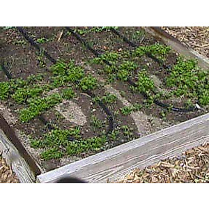 Rocky Mountain Goods Soaker Hose Flat 50 ft - Heavy Duty Double Layer Design - Saves 70% Water - Consistent Drip Throughout Hose - Leakproof Guarantee - Garden/Vegetable Safe