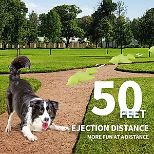 ALL FOR PAWS Dog Flying Toy, Mallard Interactive Dog Toys with Slingshot,Duck Hunting Pet Toys