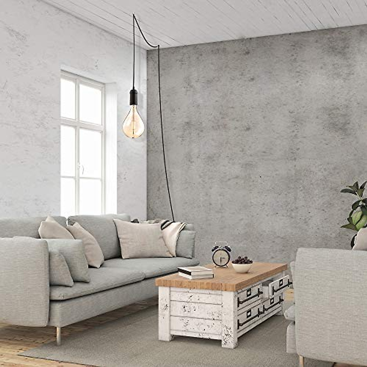 Edison 1-Light Plug-in Pendant, Matte Black, Black Woven Fabric Cord, in-Line On/Off Switch,65114