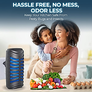 TRAPPED Plug In 2 Pack Insect, Bug Gnat, Indoor Bedside Kitchen Bedroom Living Area Zapper Safe for Kids and Pets