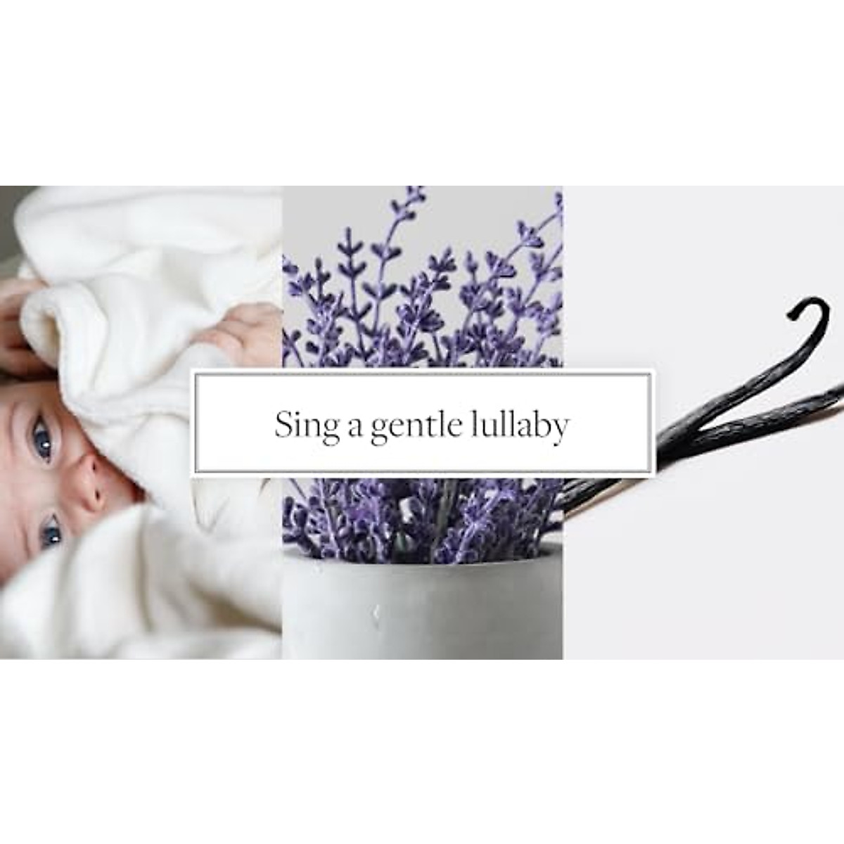 Aera The Laundress Baby Home Fragrance Scent Refill - Notes of Lavender, Vanilla and Powder - Works with The Aera Diffuser