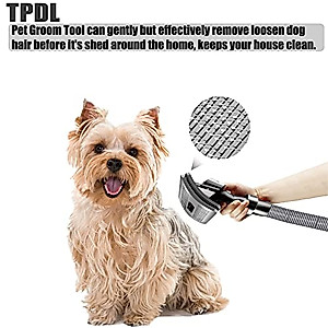 TPDL Groom Tool Dog Pet Attachment Brush Compatible with Dyson V7 V8 V10 V11 V12 V15 Vacuum Cleaner with Trigger Lock (Brush+Extention Hose+Trigger Lock)