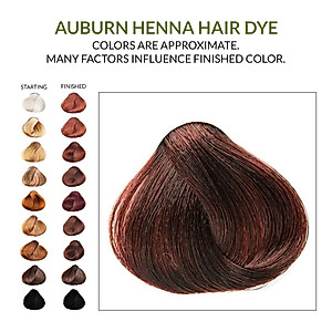 1 Pack Of Auburn Henna Hair & Beard Color/Dye 100 Grams - Natural Hair Color, Plant-based Hair Dye - The Henna Guys