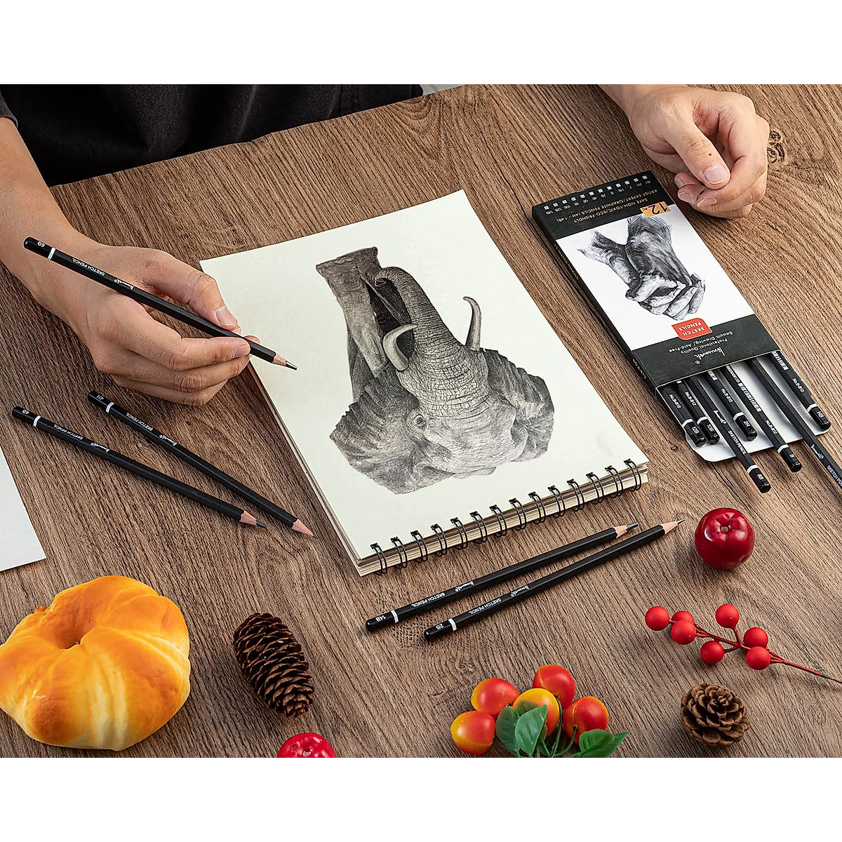 Brusarth Sketch Pencils for Drawing Set - 12 Pieces Drawing Sketching Pencil (14B - 4H), Graphite Pencils for Drawing, Sketching, Shading, Artist Pencils for Beginners & Pro Artists