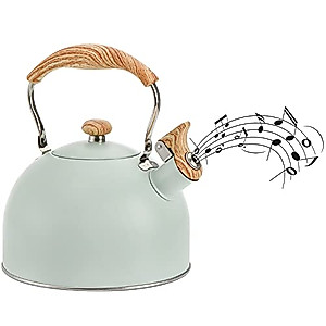 TOPZEA Tea Kettle with Handle, 2.6 Quart Stainless Steel Whistling Teapot Stove Top Tea Kettle for Heating Water, Fast Boiling Water Teakettle, Green