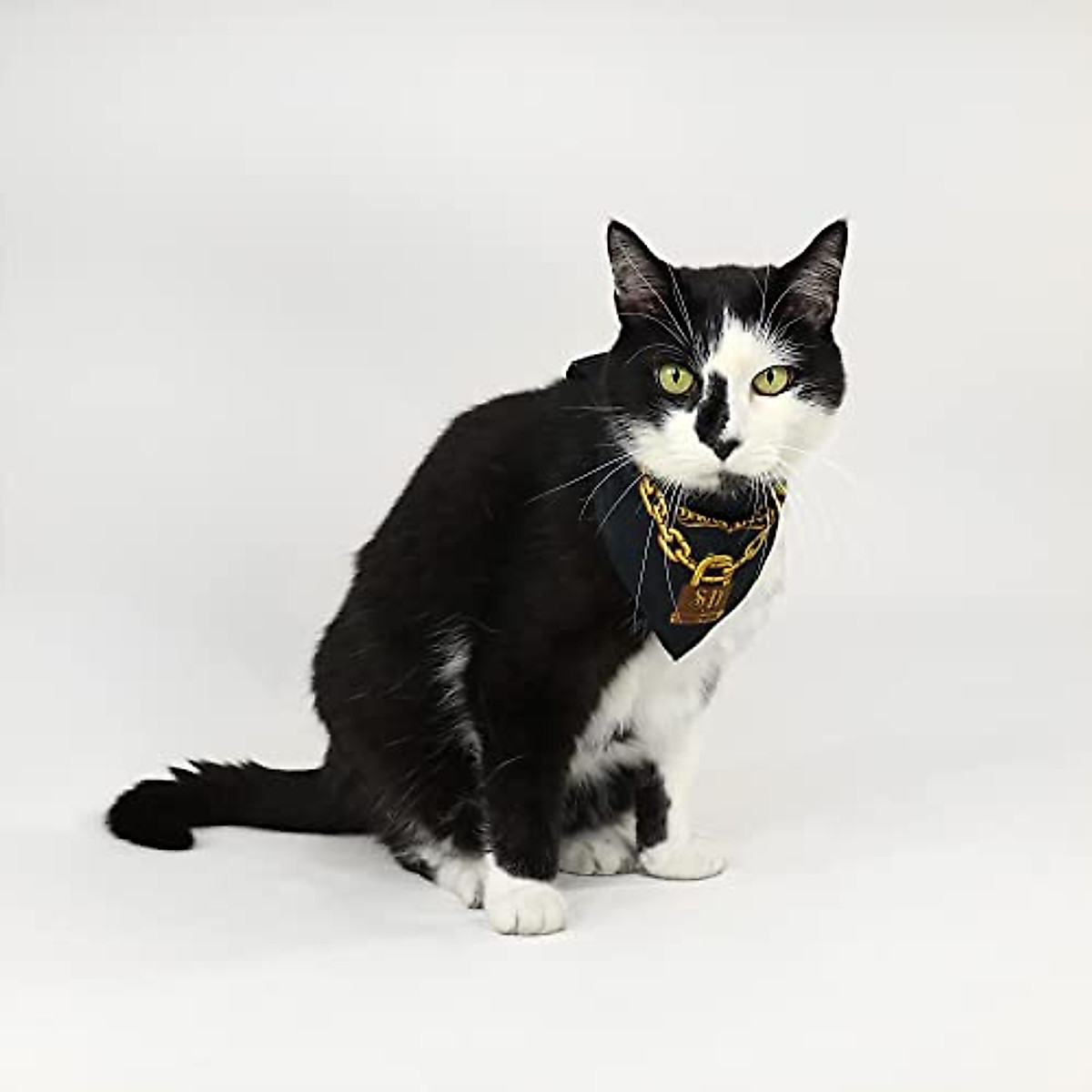 Snoop Doggie Doggs Deluxe Pet Bandana Set of 2, Adjustable Ties - Halftime/Off The Chain, Small