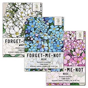 Seed Needs, Forget-Me-Not Seed Packet Collection (Includes 3,000 Forget-Me-Not Seeds for Planting) Heirloom, & Open Pollinated - Rose, Blue & White