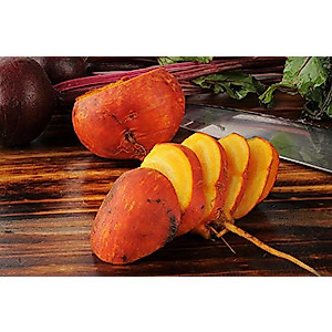 Golden Detroit Beet Seeds for Planting, 100+ Heirloom Seeds Per Packet, (Isla's Garden Seeds), Non GMO Seeds, Botanical Name: Beta vulgaris, Great Home Garden Gift