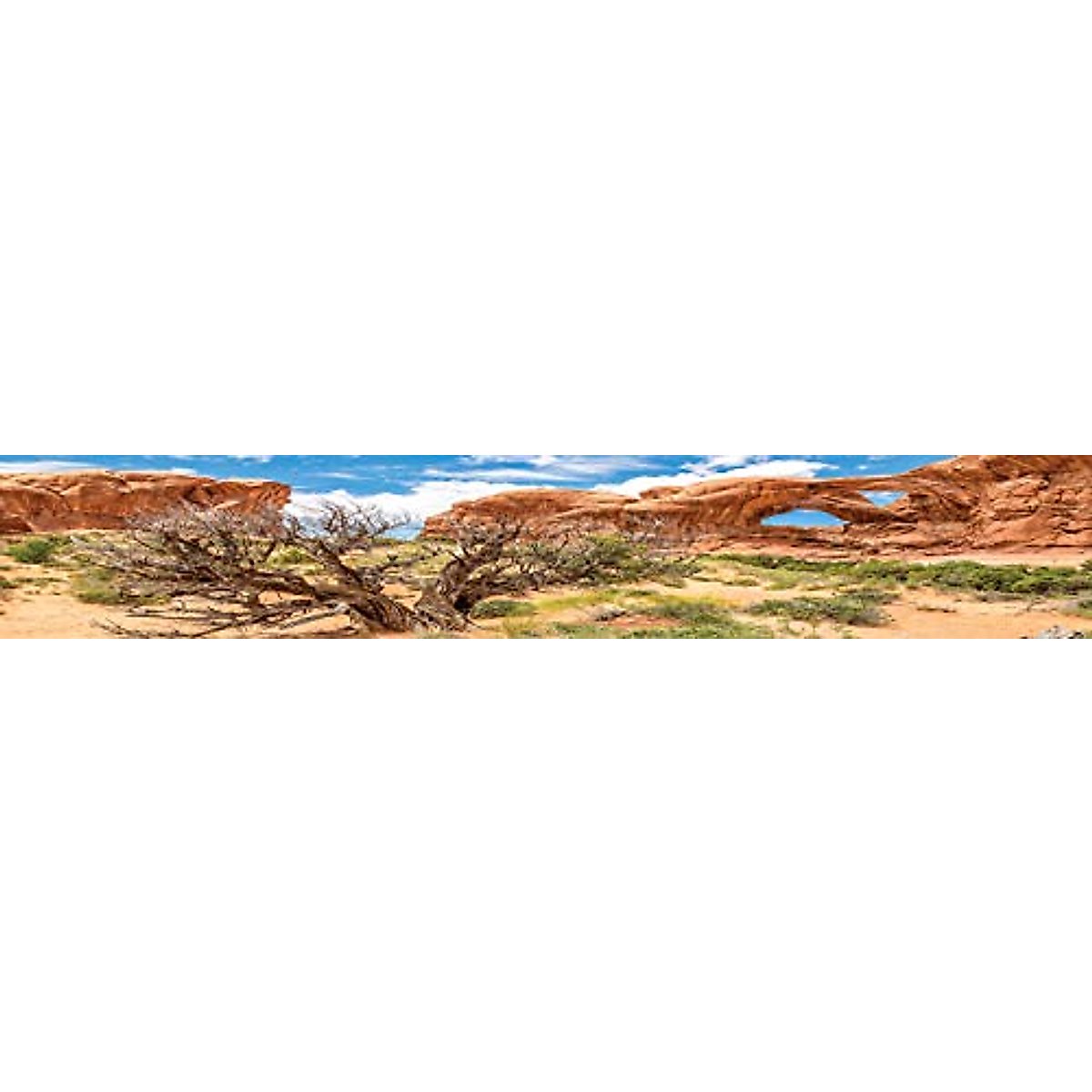 Reptile Habitat Background; Double Arch with Tree, for 48Lx24Wx18H Terrarium, 3-Sided Wraparound