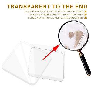 BIPEE 10 Pack Sterile Thick Plastic Petri Dishes with Lid，10cm x 10cm Square Petri Dish for Lab Science Experiment