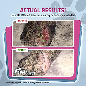 PetSilver Wound & Skin Spray - Chelated Silver, Superior to Colloidal Silver - Dog Wound Spray, Hot Spot, Allergy Relief for Dogs, Itch Spray for Cats - Natural Skin Soother - Made in USA - 8 fl oz