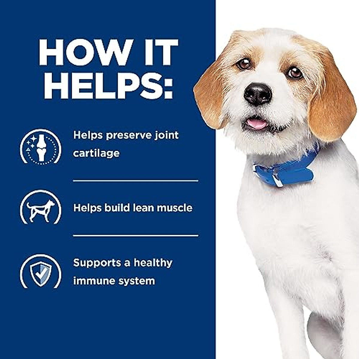 Hill's Prescription Diet j/d Joint Care Small Bites Chicken Flavor Dry Dog Food, Veterinary Diet, 8.5 lb. Bag