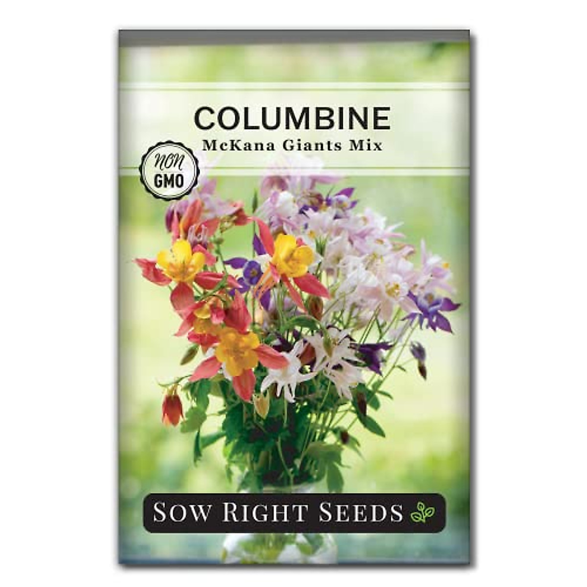 Sow Right Seeds - Warm Color Flower Seed for Planting - Red Sunflower, Orange Poppy, Yellow Zinnia, Plus Daisy and Columbine Seeds - Non-GMO Variety to Plant a Flower Garden