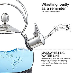 Creative Home 2.5 Qt. Stainless Steel Whistling Tea Kettle Teapot with Aluminum Capsulated Bottom for Fast Boiling Heat Water, for Induction Stove Top, Opaque Black with Speckle