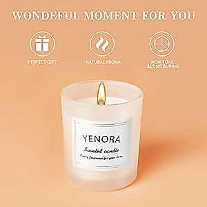 Premium Scented Candle | Aromatherapy Candle | Natural Soy Candles | Flora Fragrance Candle |Cotton Wick Candle| Ideal Gift for Man/Woman (Englis Pear & Freesia)