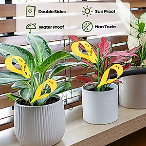 150 Pack Sticky Houseplant Traps Stakes Yellow Insect Trap Fungus Gnat Sticky Trap for Indoor Outdoor Garden Houseplant Fungus Gnat Fruit Flies Mosquito