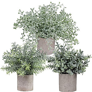 Winlyn Mini Potted Plants Artificial Flocked Eucalyptus Boxwood Rosemary Greenery in Pots Faux Potted Herbs Small Houseplants 8.8"-10" Tall for Indoor Greenery Tabletop Décor Centerpiece 3 Pack