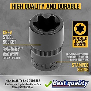 Amartisan 14 Pc Female E-Torx Star Socket Set/Rail, 1/4" 3/8" 1/2" Drive, E24 External Torque Socket Set