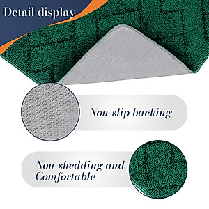 Walensee Indoor Doormat, Front Door Mat for Entrance (20"x32" Green) Machine Washable Entryway Rug, Non Slip Trapper Door Rugs Absorbent Dirt Low Profile Shoes Scraper Inside Floor Mats