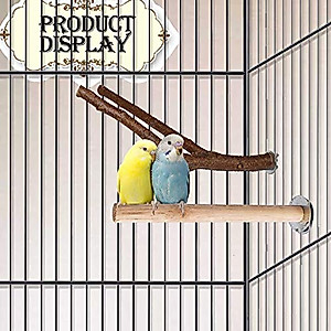 PINVNBY Bird Perch,Parrot Perches Stand Natural Peach Wood Fork Parakeet Birdcage Paw Climbing Stands Cage Toy Accessories for Conures,Lovebirds,Budgies,Cockatiels and Finches(10 Pcs)